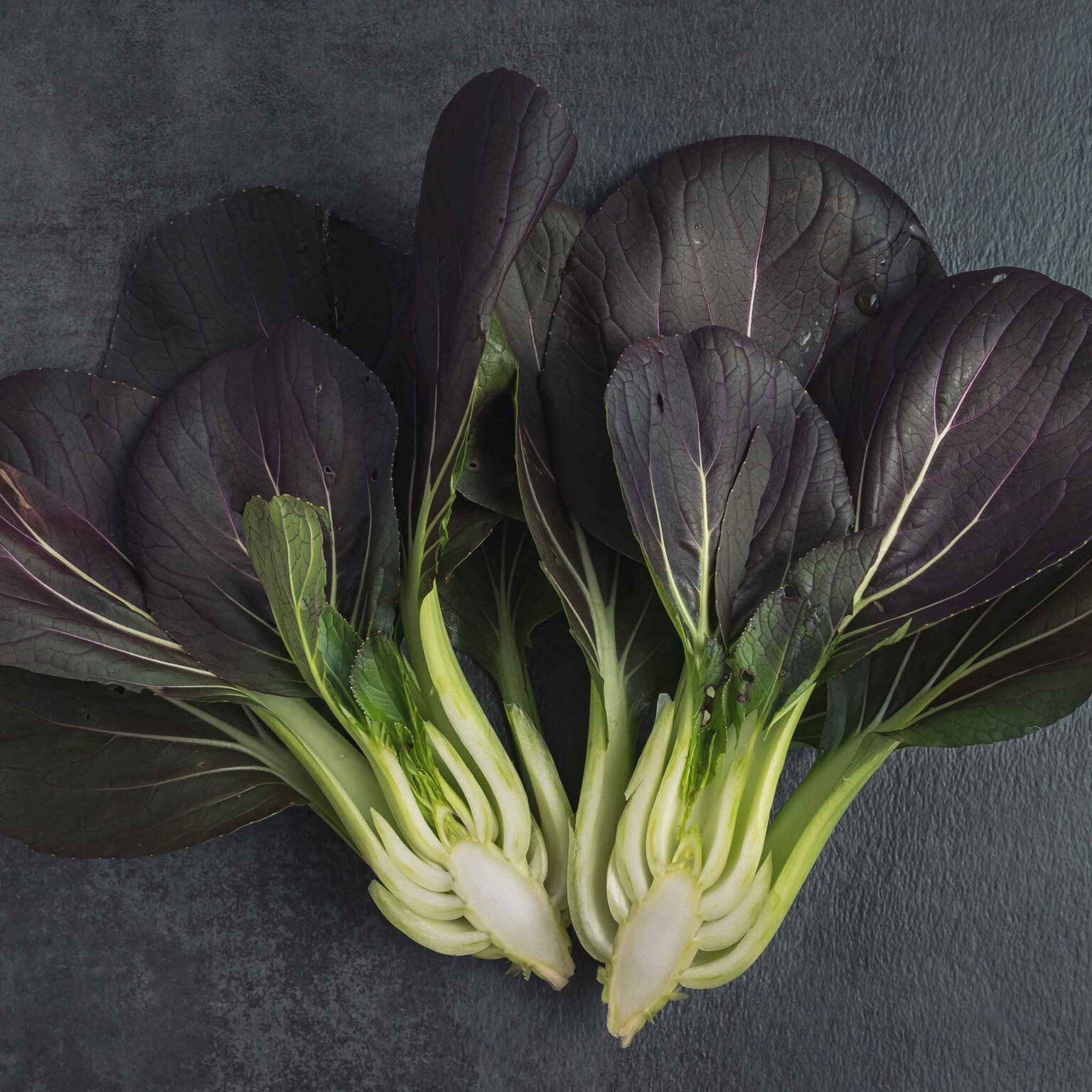 Chinese Cabbage Seeds – Pak Choy Red Inferno – vegetableseeds.org