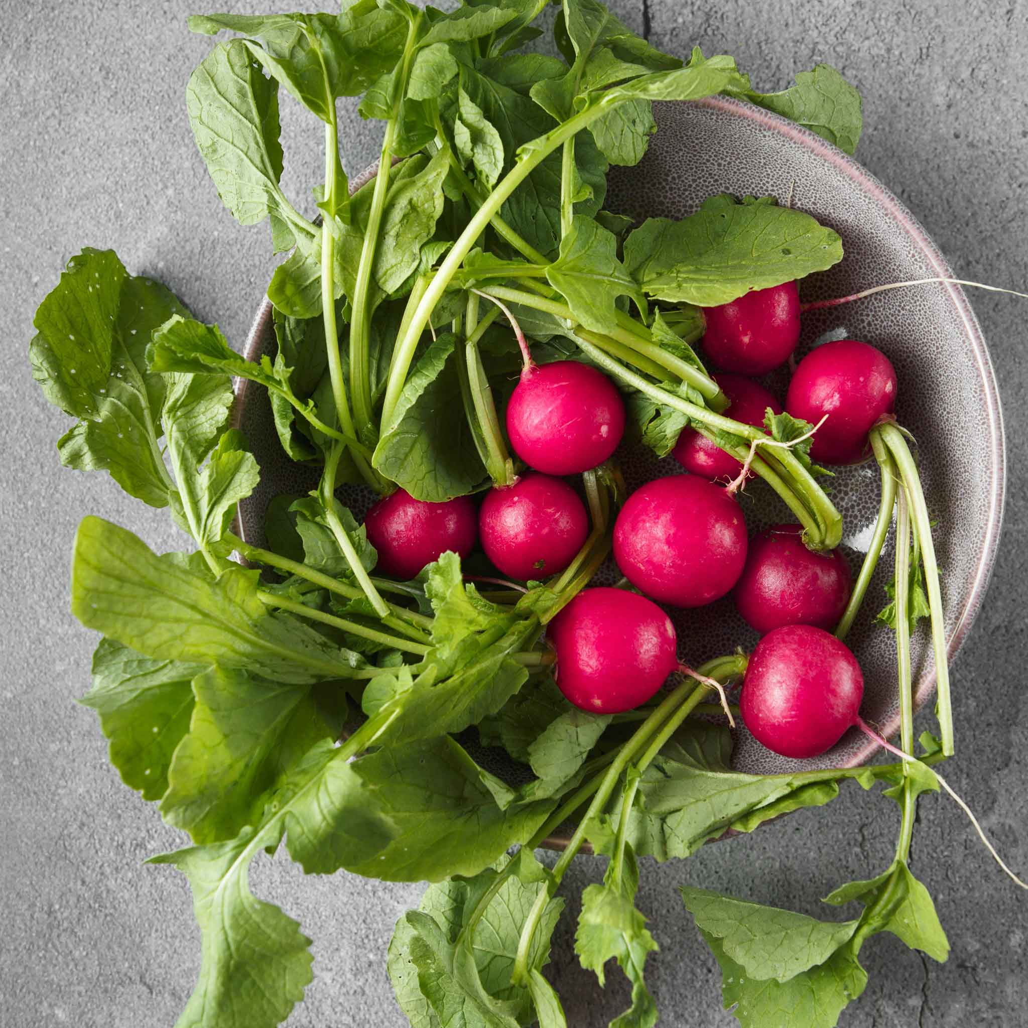 Radish Seeds – Early Scarlet Globe – vegetableseeds.org